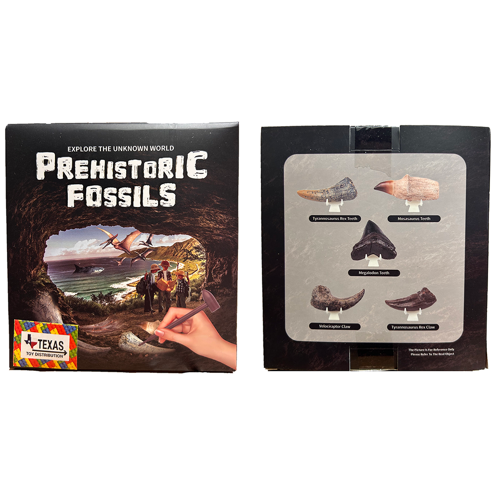 Prehistoric Fossils Paleontology Dig Kit in Retail Box – Texas Toy ...