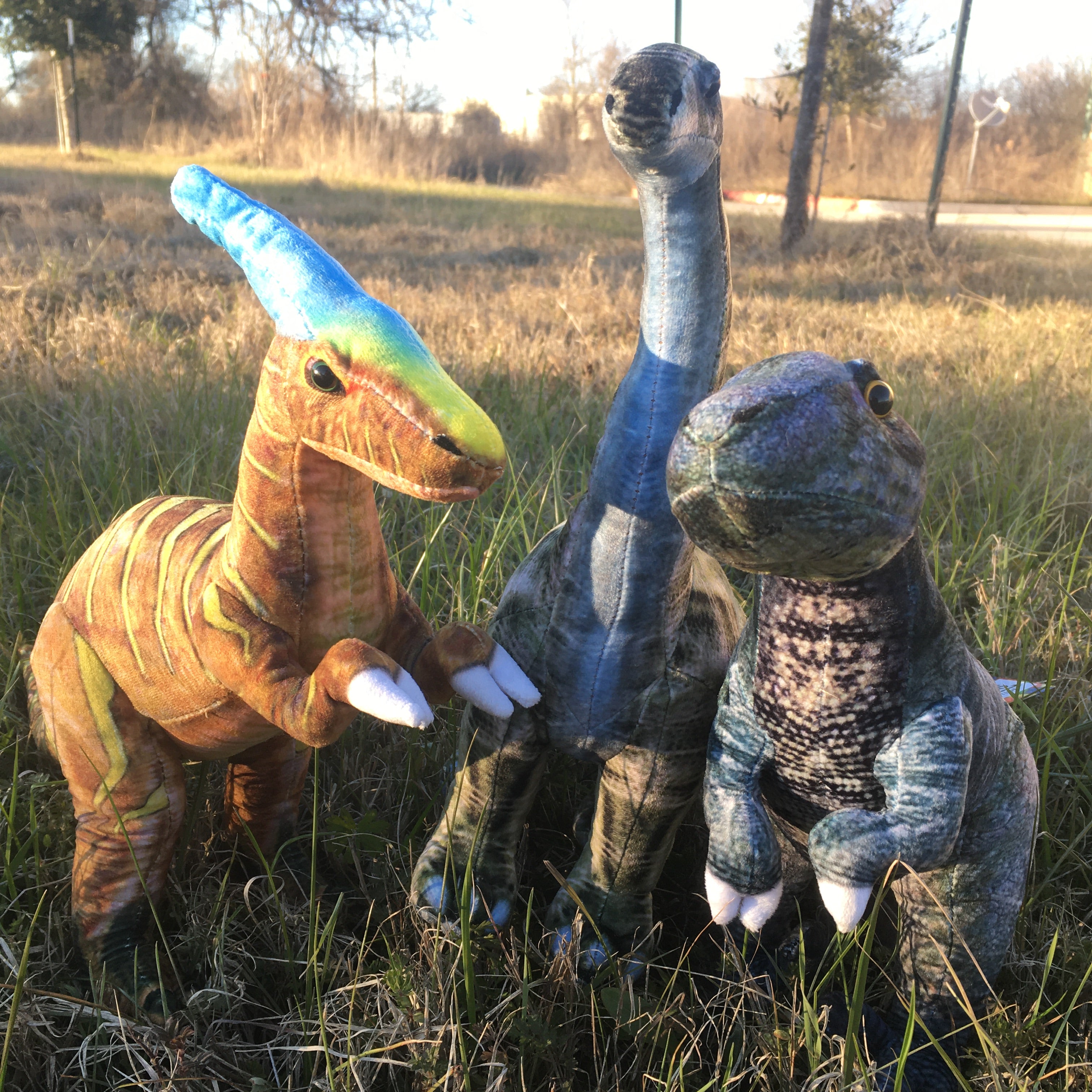 Dinosaur – Texas Toy Distribution