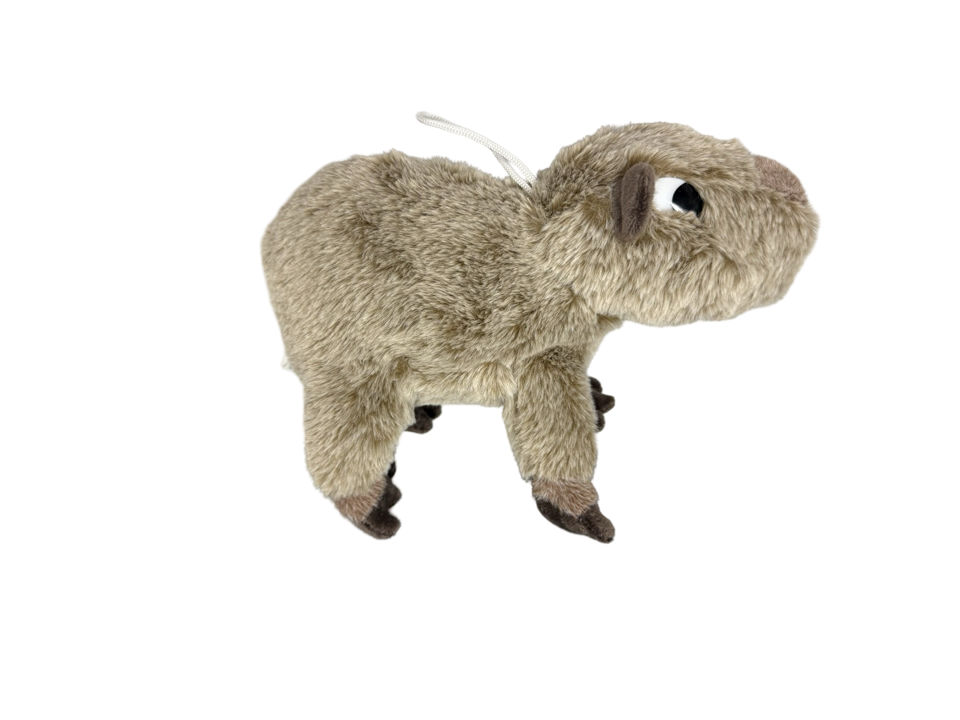 10" Standing Capybara plush – Texas Toy Distribution