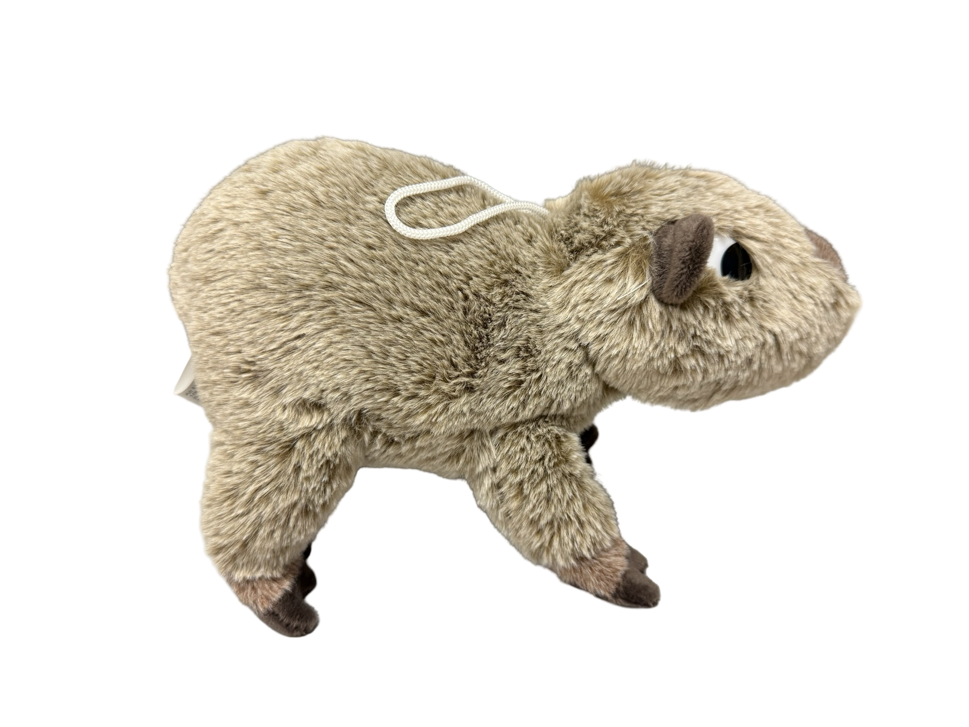 10" Standing Capybara plush – Texas Toy Distribution