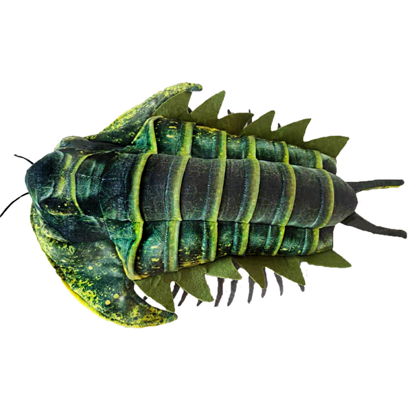 Trilobite Plush 12" Stuffed Animal Collectible Fossil Toy – Texas Toy ...
