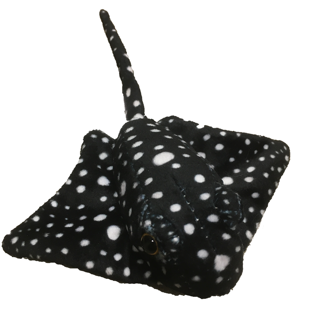 Small Manta Ray 6" Aquatic Plush Stuffed Animal – Texas Toy Distribution