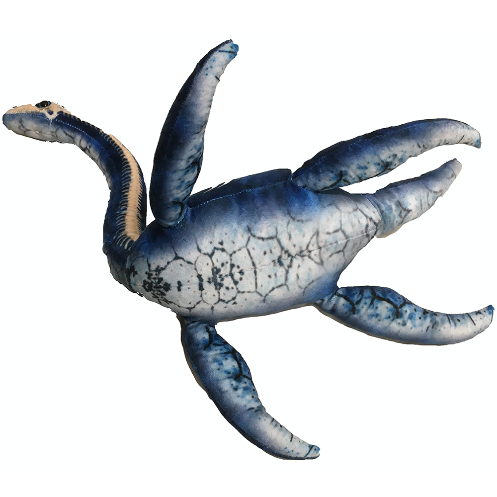 Plesiosaur 12" Plush Dinosaur Stuffed Animal – Texas Toy Distribution