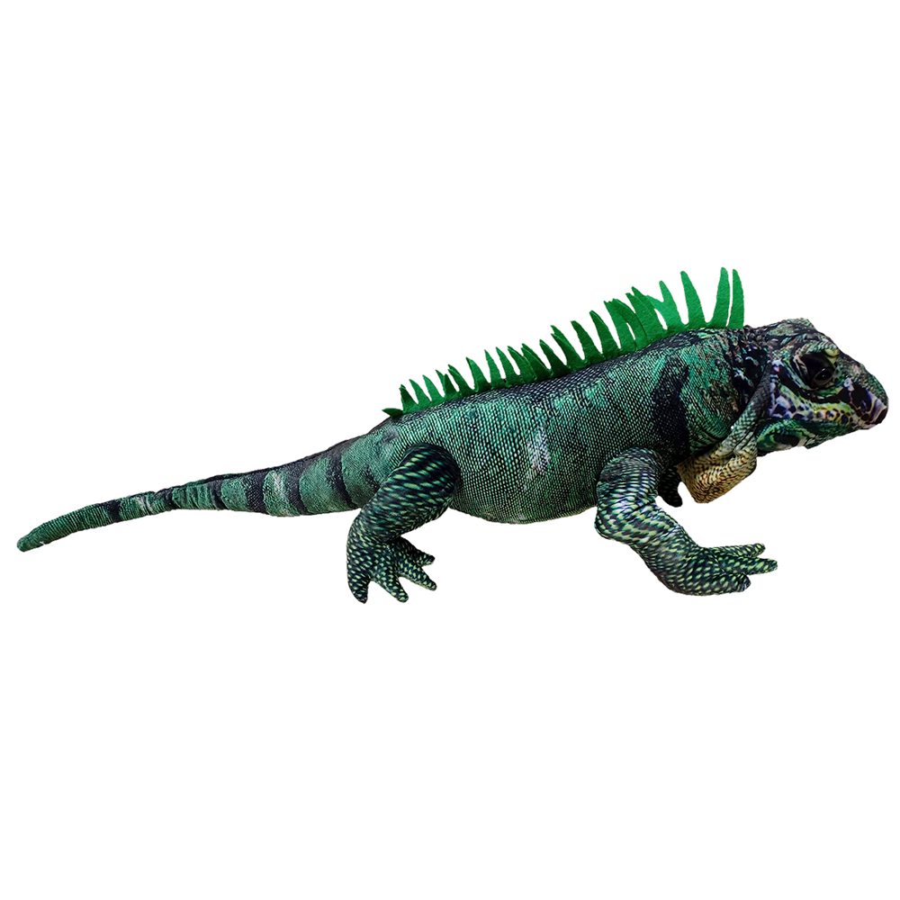 Green Iguana 24.4" Reptile Plush Stuffed Animal – Texas Toy Distribution
