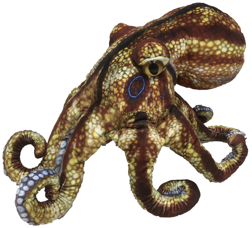 Octopus Aquatic Ocean Plush 10" Stuffed Animal – Texas Toy Distribution