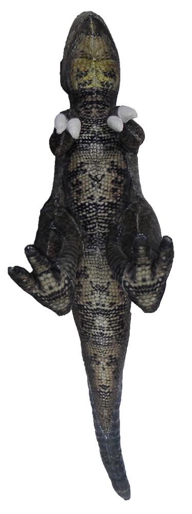 Velociraptor 19.5" Plush Dinosaur Stuffed Animal – Texas Toy Distribution