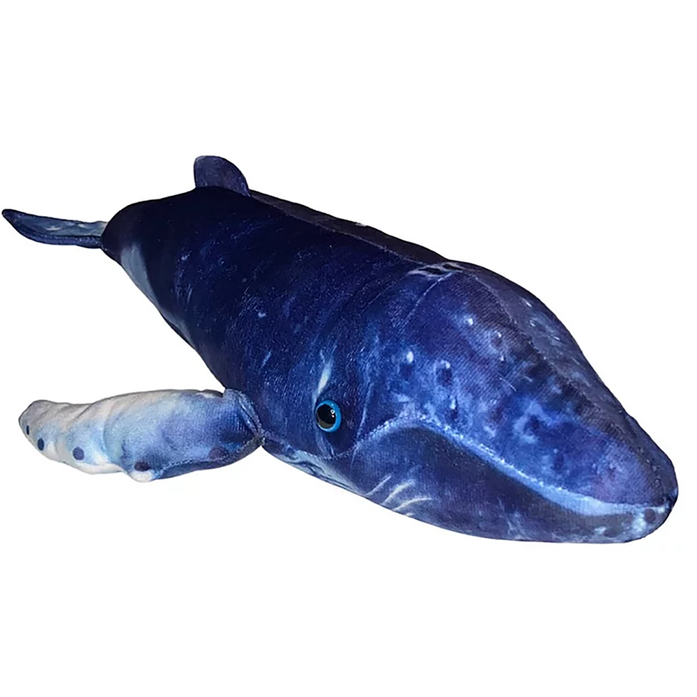 Humpback Whale 16" Plush Stuffed Animal – Texas Toy Distribution