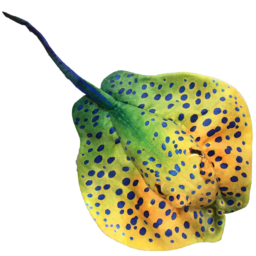 Green Stingray 21" Plush Stuffed Animal Ocean – Texas Toy Distribution